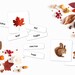 AUTUMN Montessori 3-part Cards Multilingual and With Realistic Photos ...