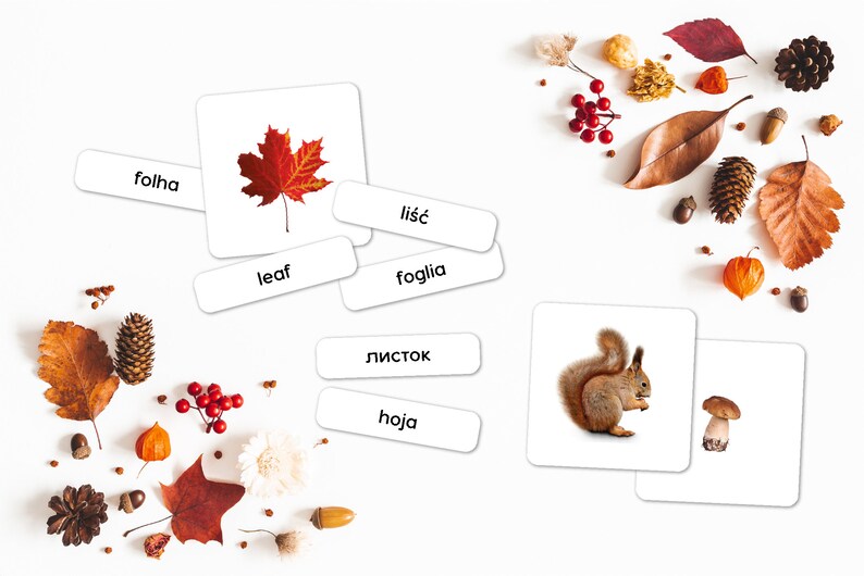 AUTUMN Montessori 3-part Cards Multilingual and With Realistic Photos ...