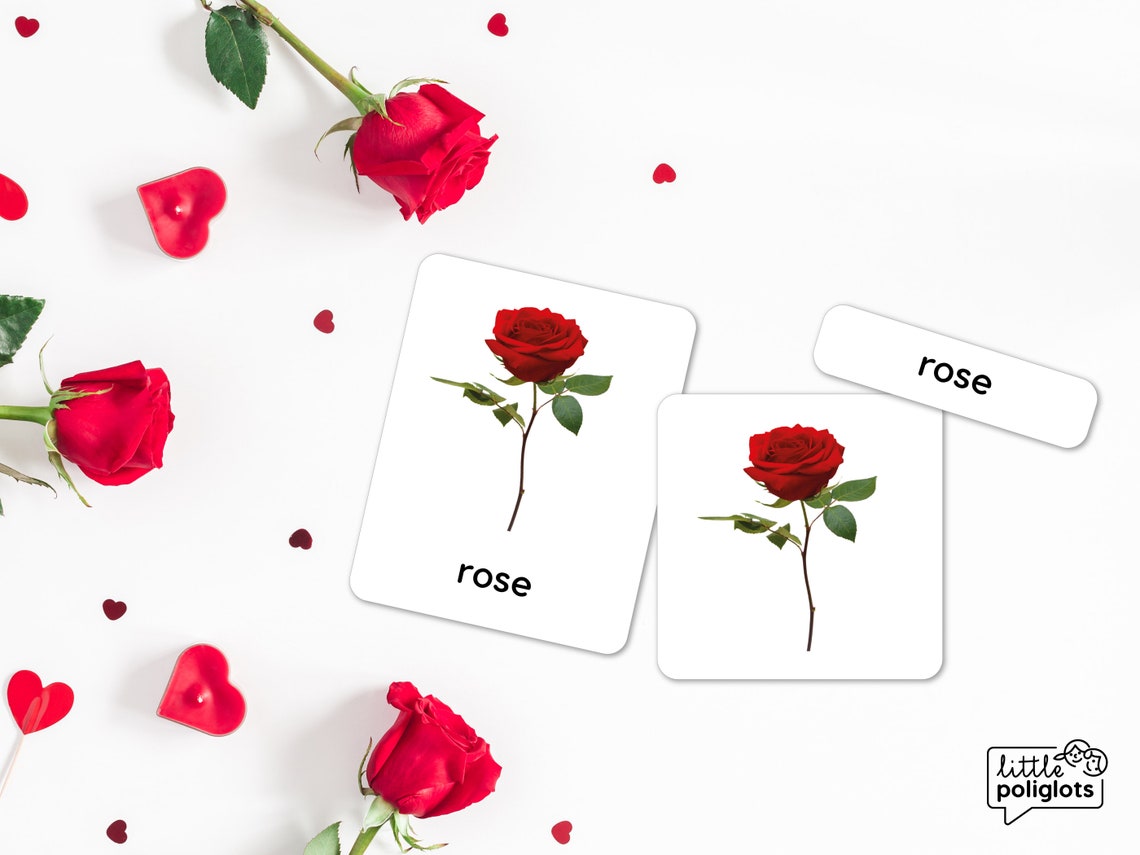 FLOWERS Montessori 3-part Cards Multilingual and With Realistic Photos ...
