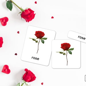 FLOWERS Montessori 3-part Cards Multilingual and With Realistic Photos ...