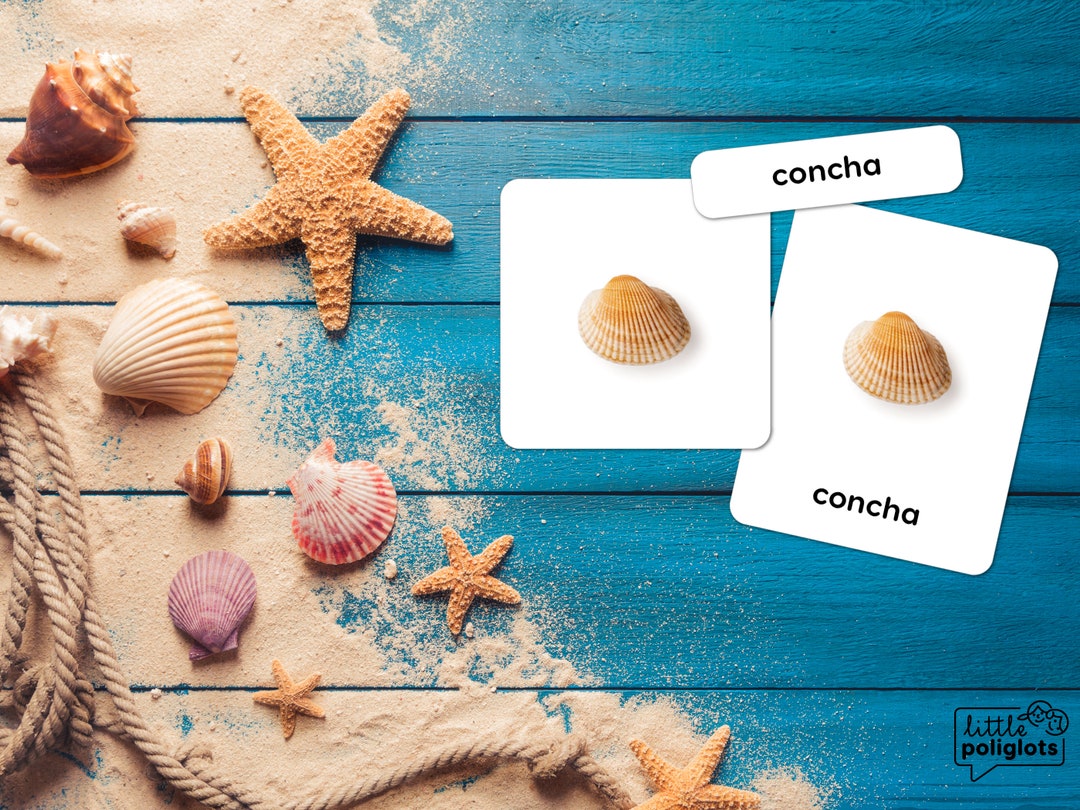 SUMMER Montessori 3-part Cards Multilingual and With Realistic Photos ...