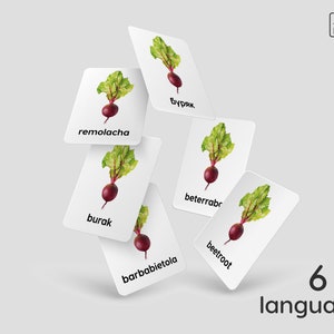 VEGETABLES Montessori 3-part Cards Multilingual and With Realistic ...