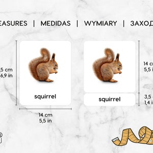 AUTUMN Montessori 3-part Cards Multilingual and With Realistic Photos ...