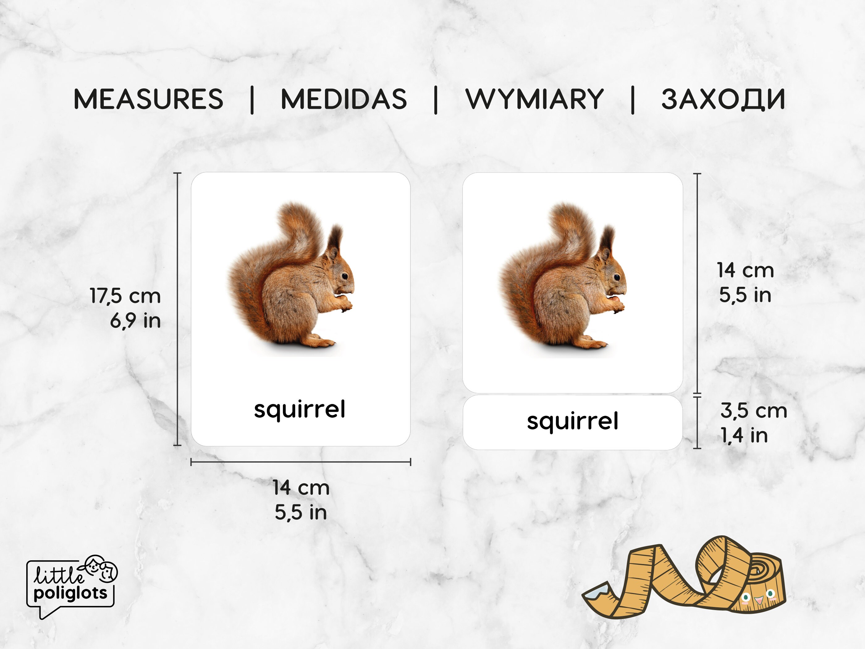 AUTUMN Montessori 3-part Cards Multilingual and With Realistic Photos ...