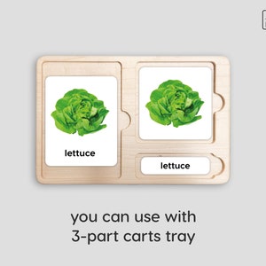 VEGETABLES Montessori 3-part Cards Multilingual and With Realistic ...