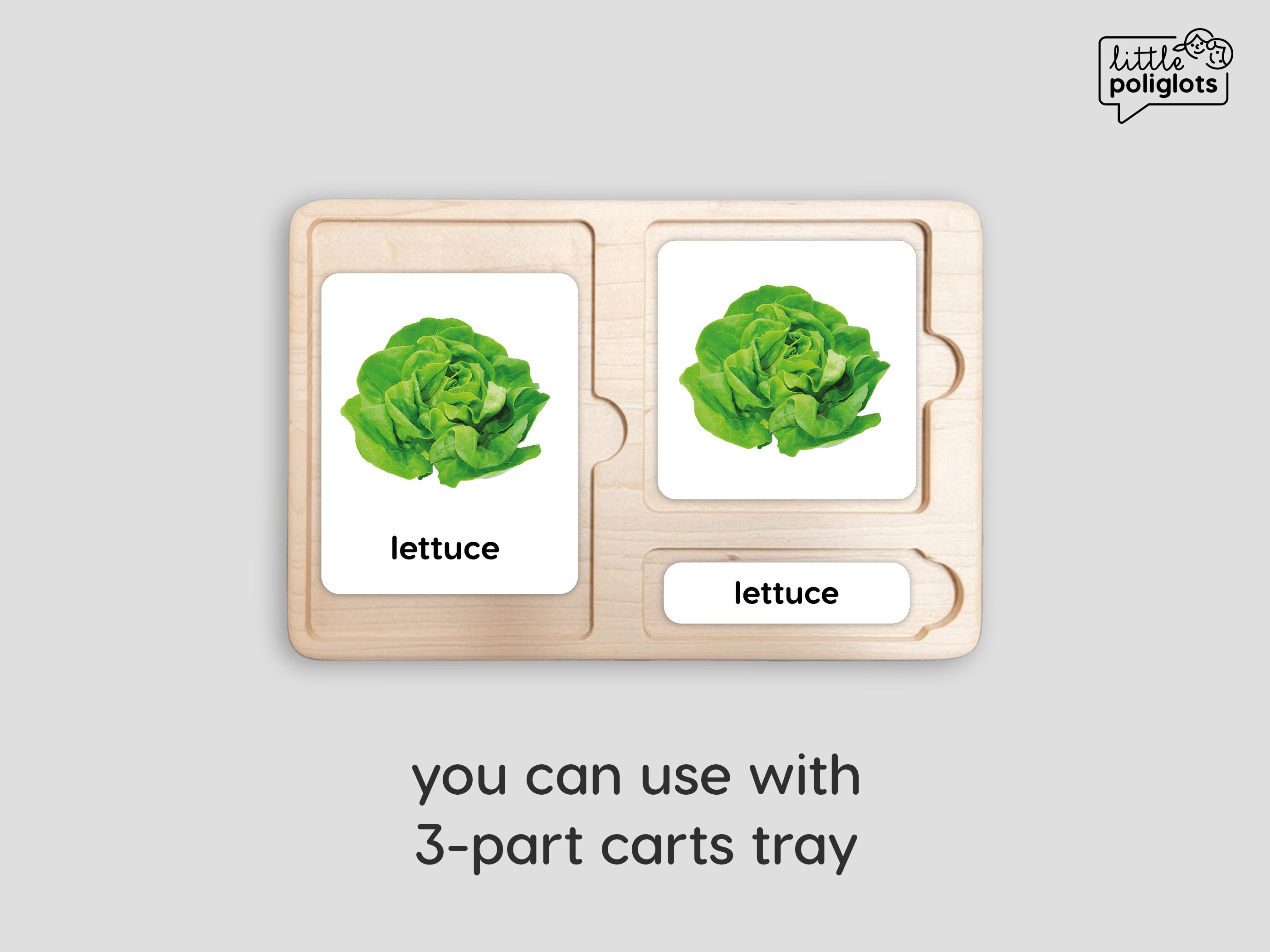 VEGETABLES Montessori 3-part Cards Multilingual and With Realistic ...