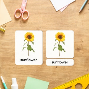 FLOWERS Montessori 3-part Cards Multilingual and With Realistic Photos ...