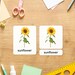 FLOWERS Montessori 3-part Cards Multilingual and With Realistic Photos ...