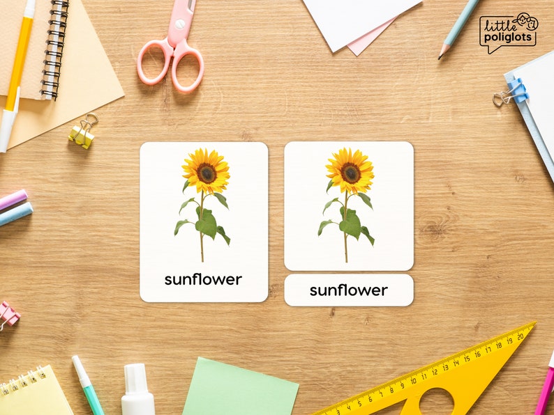 FLOWERS Montessori 3-part Cards Multilingual and With Realistic Photos ...