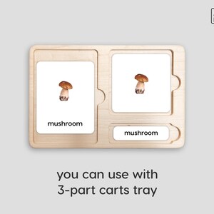 AUTUMN Montessori 3-part Cards Multilingual and With Realistic Photos ...