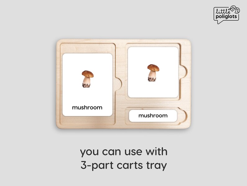 AUTUMN Montessori 3-part Cards Multilingual and With Realistic Photos ...