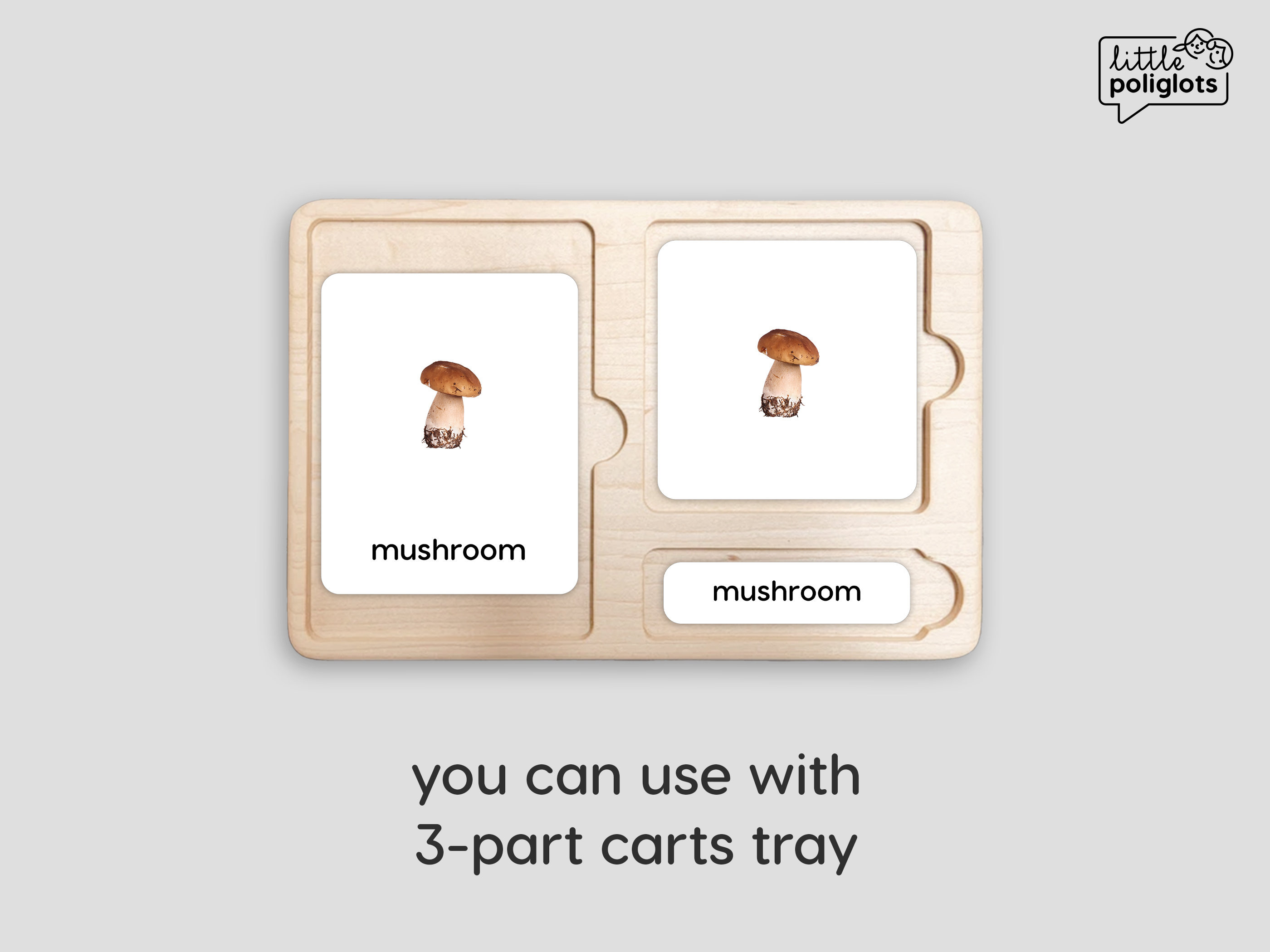 AUTUMN Montessori 3-part Cards Multilingual and With Realistic Photos ...
