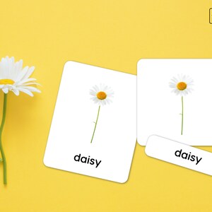 FLOWERS Montessori 3-part Cards Multilingual and With Realistic Photos ...