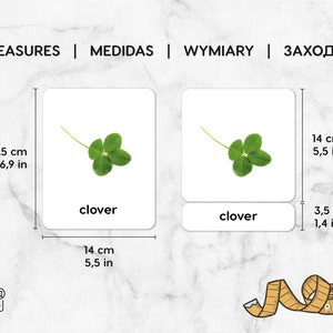 SPRING Montessori 3-part Cards Multilingual and With Realistic Photos ...