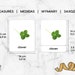 SPRING Montessori 3-part Cards Multilingual and With Realistic Photos ...