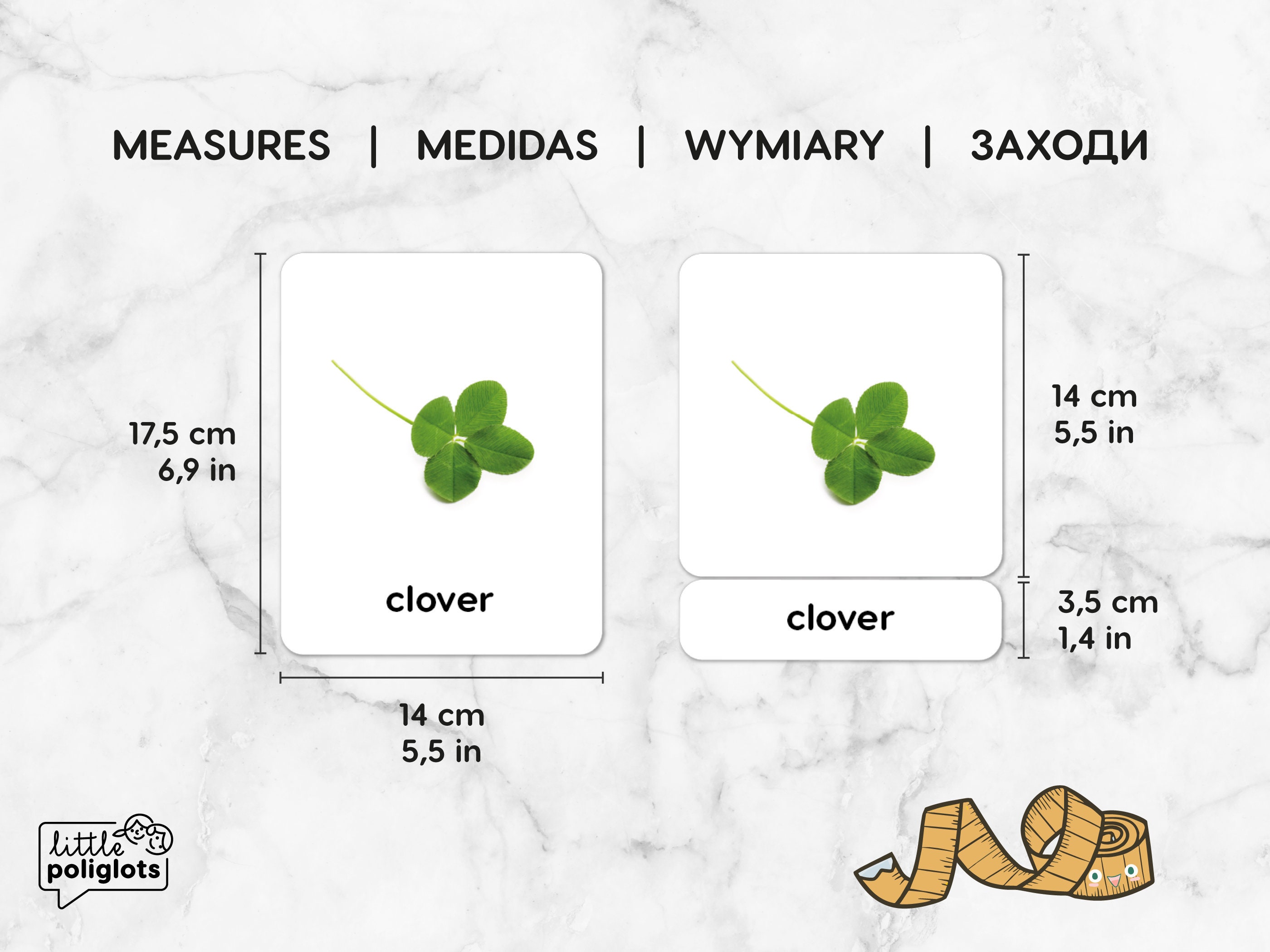 SPRING Montessori 3-part Cards Multilingual and With Realistic Photos ...