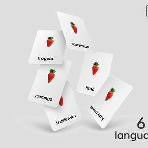 FRUITS Montessori 3-part Cards Multilingual and With Realistic Photos ...
