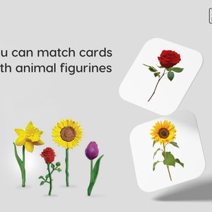 FLOWERS Montessori 3-part Cards Multilingual and With Realistic Photos ...