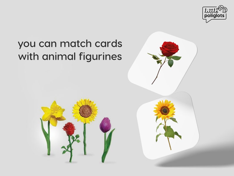 FLOWERS Montessori 3-part Cards Multilingual and With Realistic Photos ...