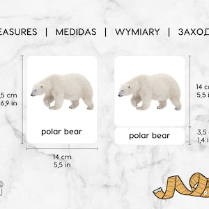 WINTER Montessori 3-part Cards Multilingual and With Realistic Photos ...