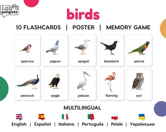 WINTER Montessori 3-part Cards Multilingual and With Realistic - Etsy