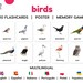 BIRDS Montessori 3-part Cards Multilingual and With Realistic Photos ...