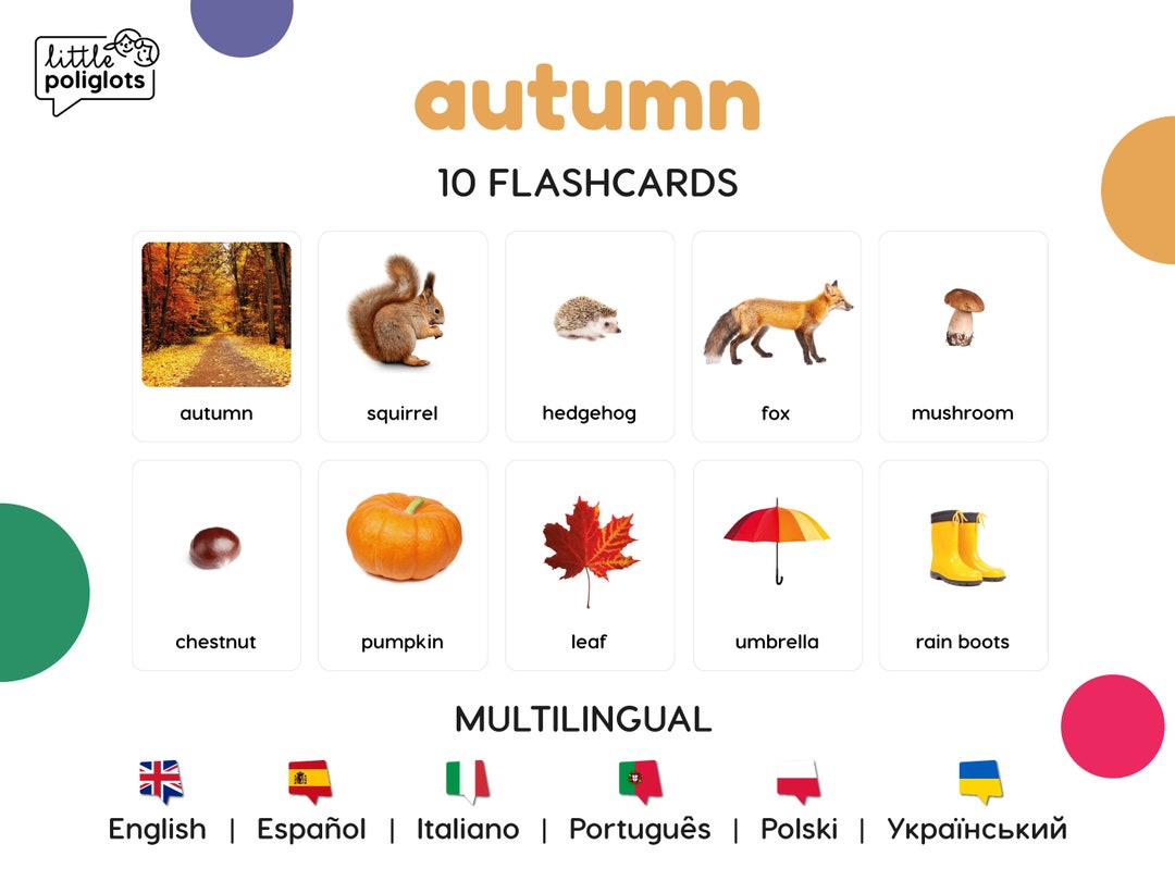 AUTUMN Montessori 3-part Cards Multilingual and With Realistic - Etsy