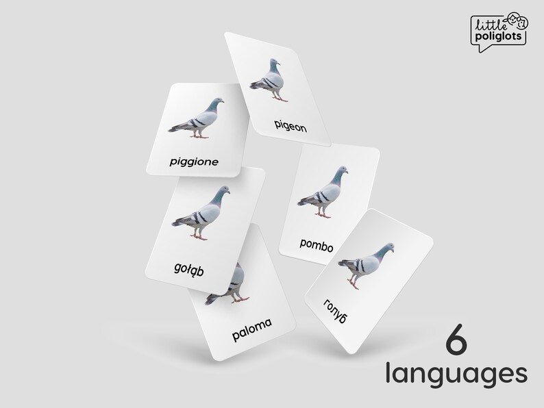 BIRDS Montessori 3-part Cards Multilingual and With Realistic Photos ...