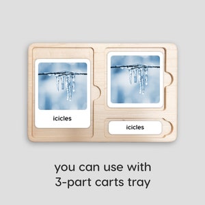 WINTER Montessori 3-part Cards Multilingual and With Realistic Photos ...
