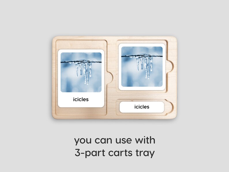 WINTER Montessori 3-part Cards Multilingual and With Realistic Photos ...