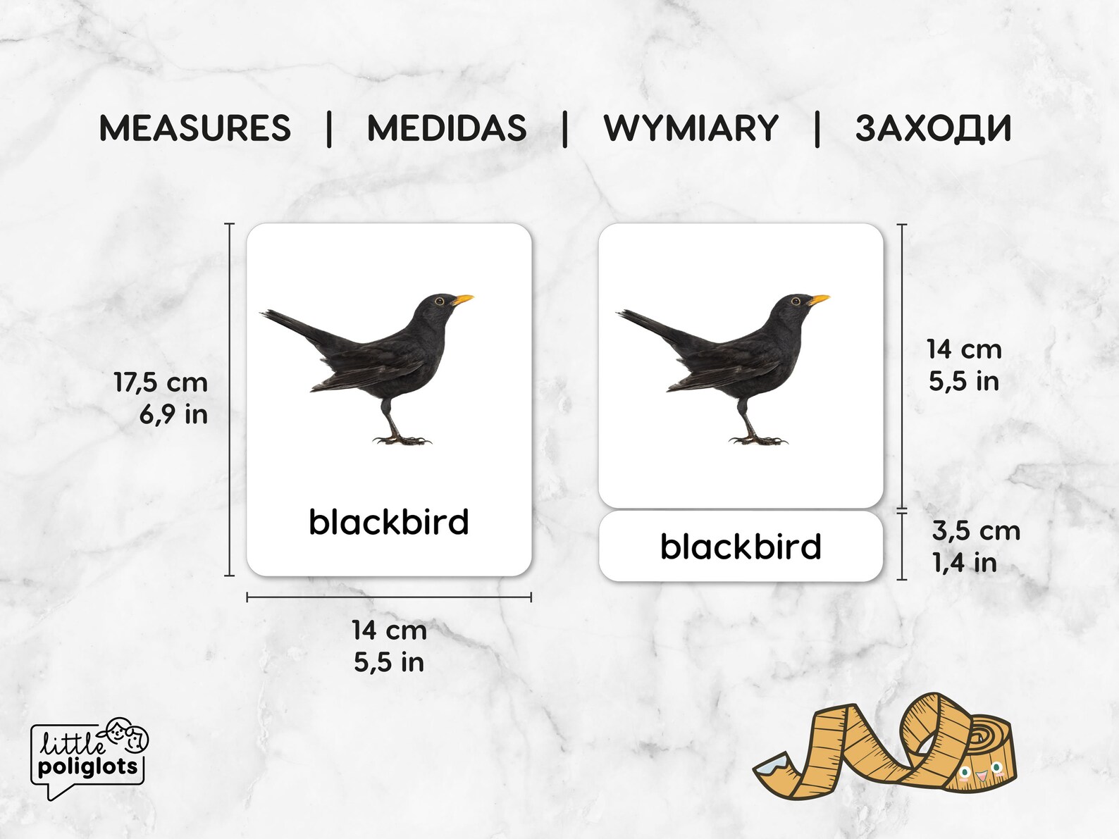 BIRDS Montessori 3-part Cards Multilingual and With Realistic Photos ...