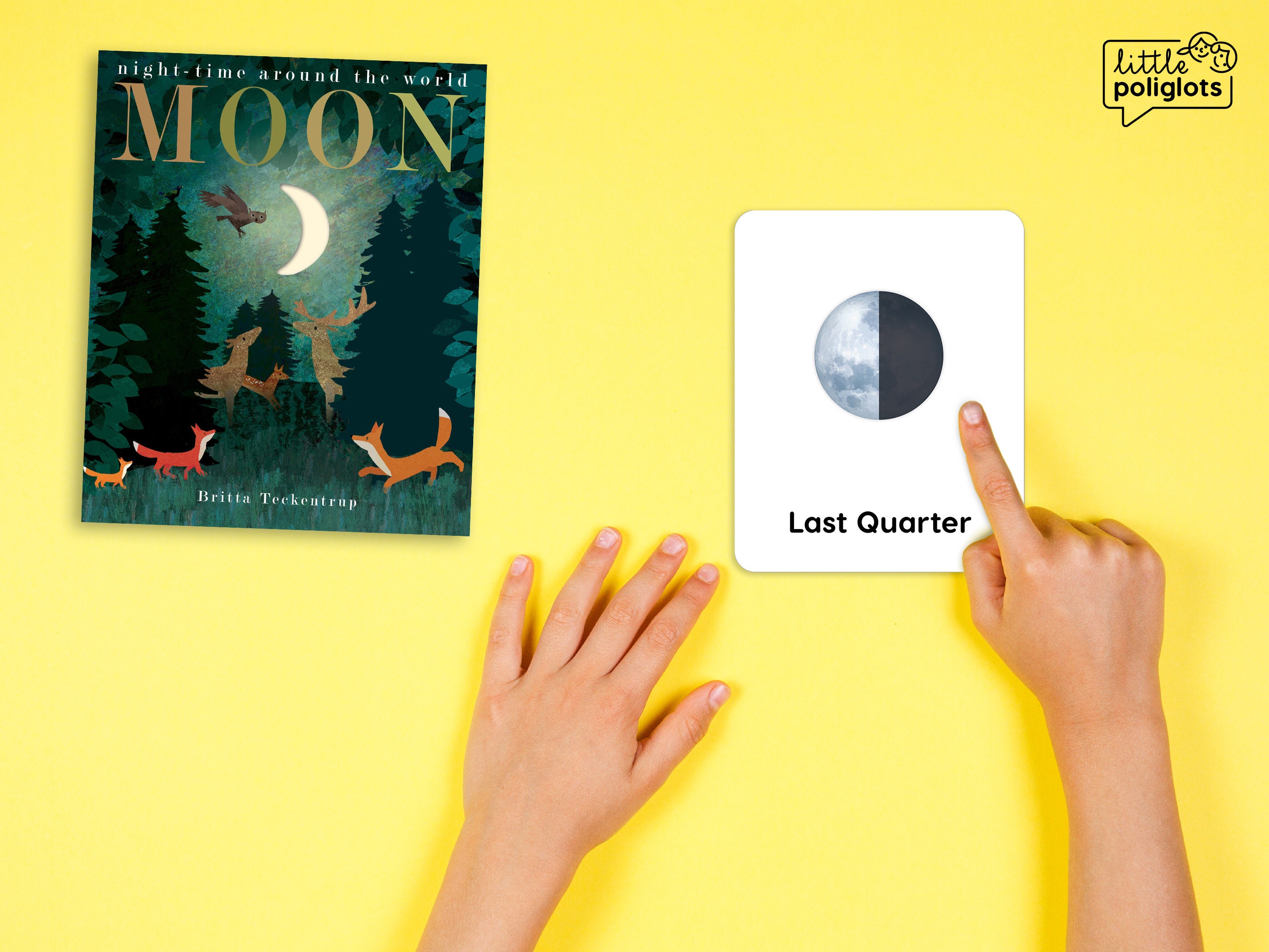 Moon Phases Montessori 3-part Cards: Multilingual Flash Cards With ...