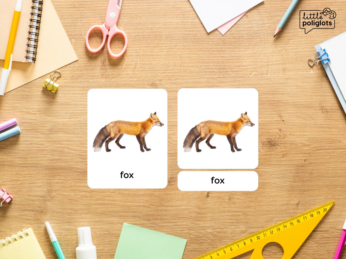 AUTUMN Montessori 3-part Cards Multilingual and With Realistic Photos ...