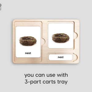 SPRING Montessori 3-part Cards Multilingual and With Realistic Photos ...