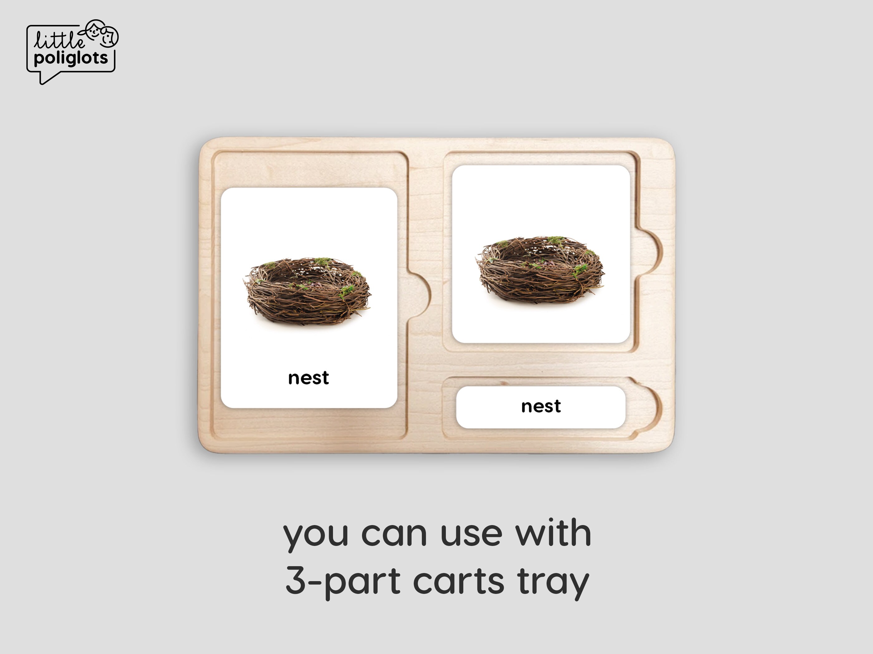 SPRING Montessori 3-part Cards Multilingual and With Realistic Photos ...