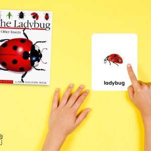 SPRING Montessori 3-part Cards Multilingual and With Realistic Photos ...