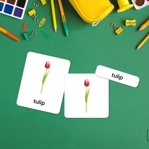 FLOWERS Montessori 3-part Cards Multilingual and With Realistic Photos ...