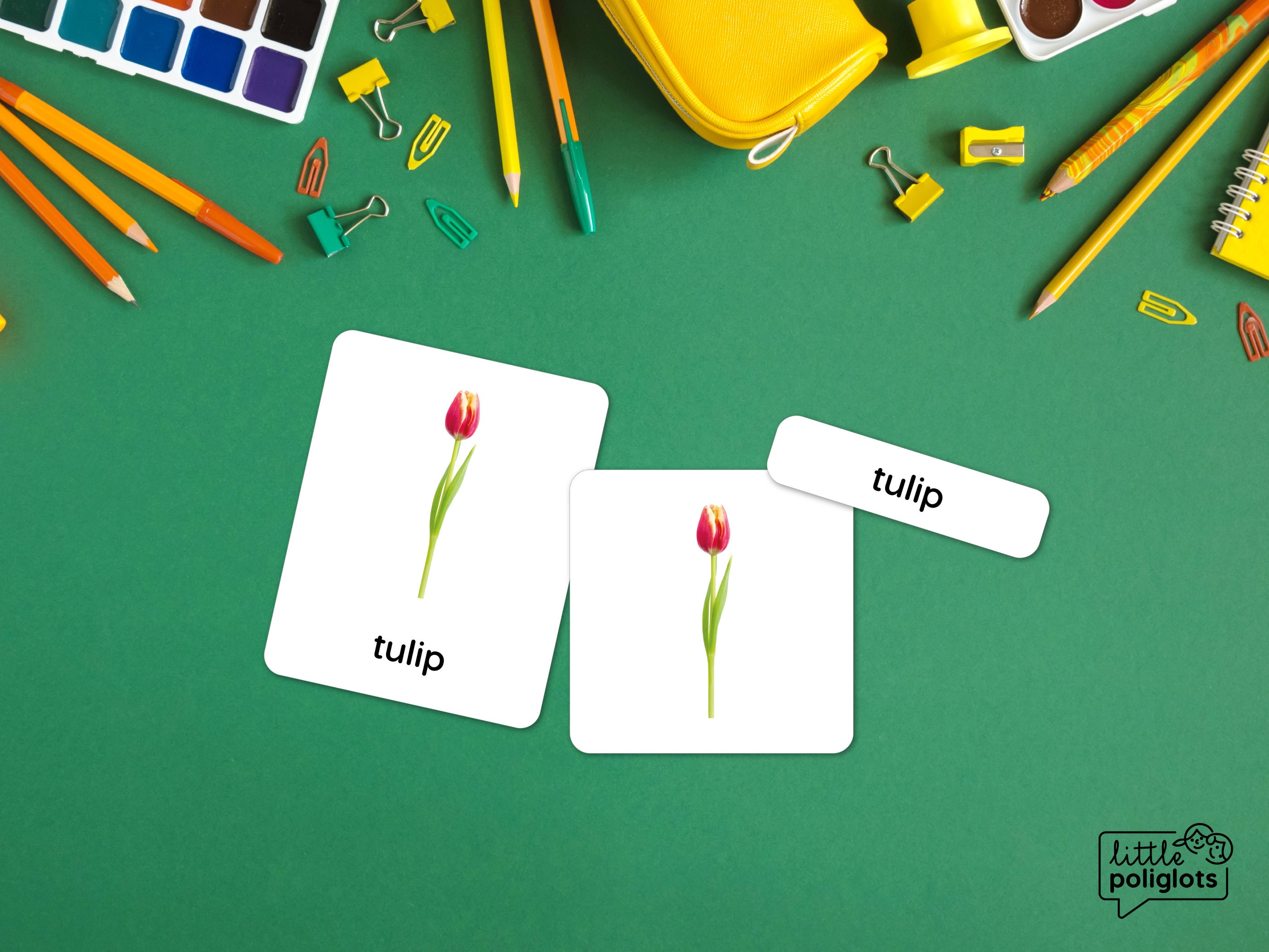 FLOWERS Montessori 3-part Cards Multilingual and With Realistic Photos ...