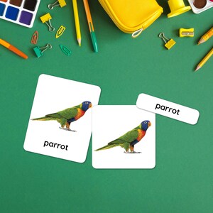 BIRDS Montessori 3-part Cards Multilingual and With Realistic Photos ...