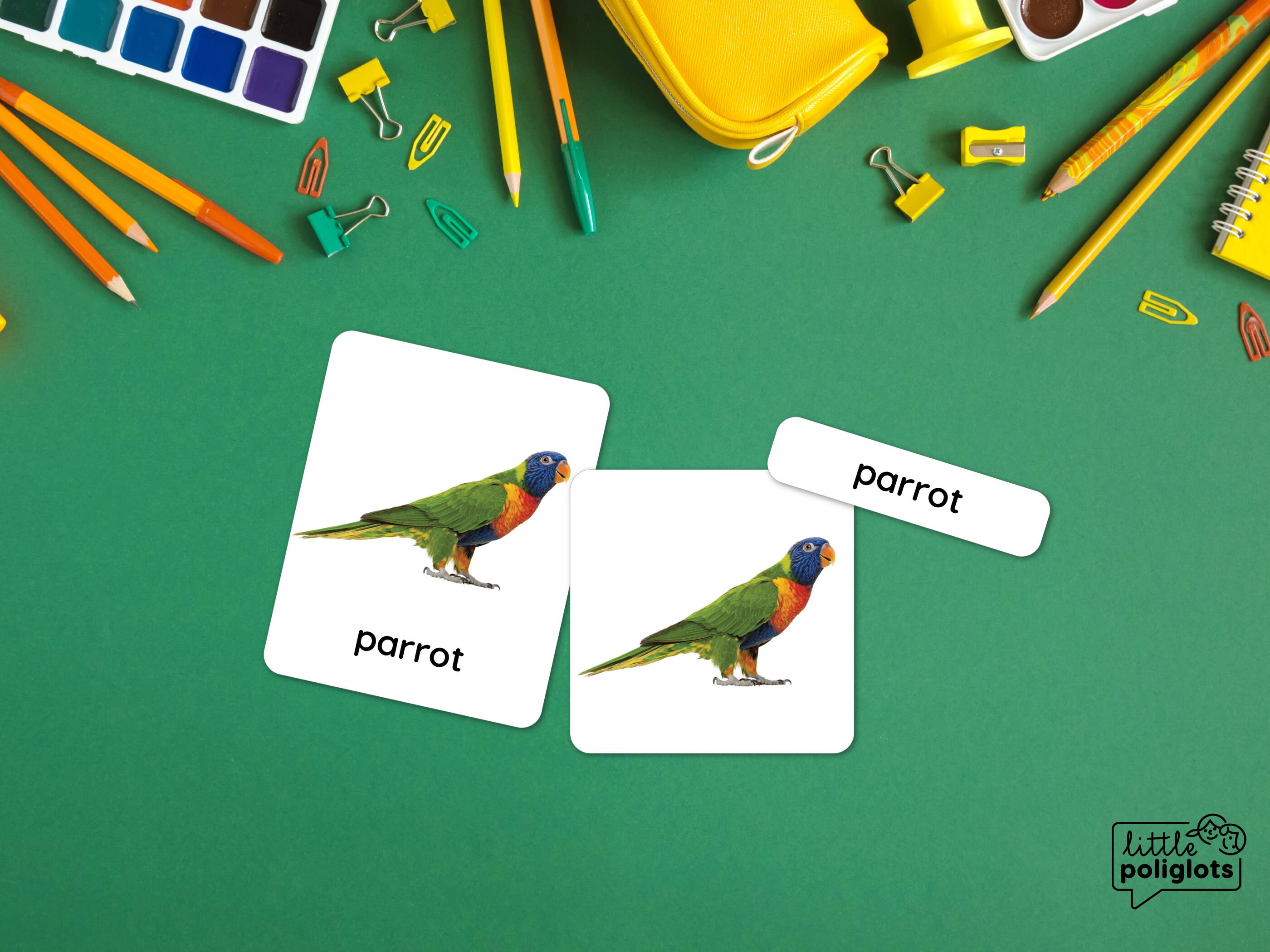 BIRDS Montessori 3-part Cards Multilingual and With Realistic Photos ...