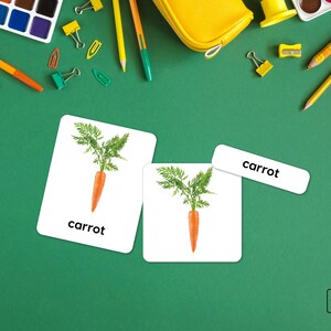 VEGETABLES Montessori 3-part Cards Multilingual and With Realistic ...