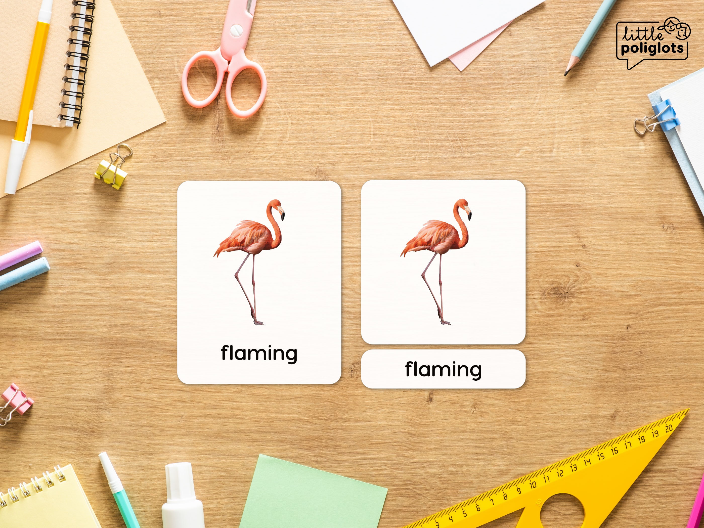BIRDS Montessori 3-part Cards Multilingual and With Realistic Photos ...