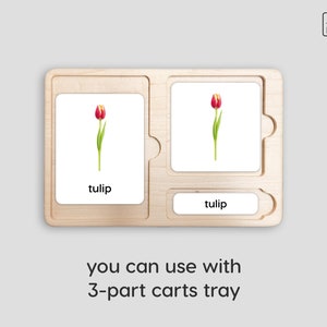 FLOWERS Montessori 3-part Cards Multilingual and With Realistic Photos ...