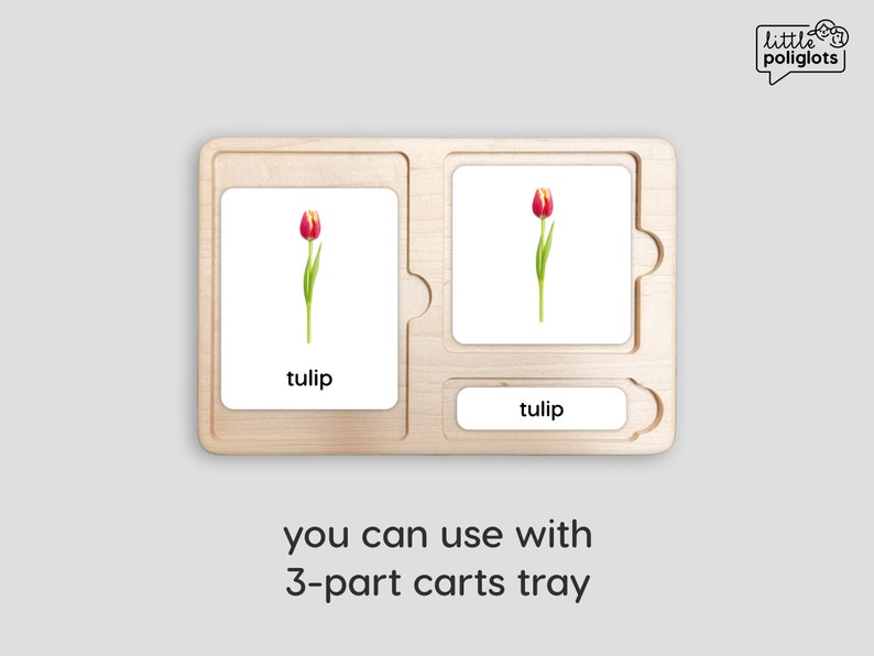 FLOWERS Montessori 3-part Cards Multilingual and With Realistic Photos ...
