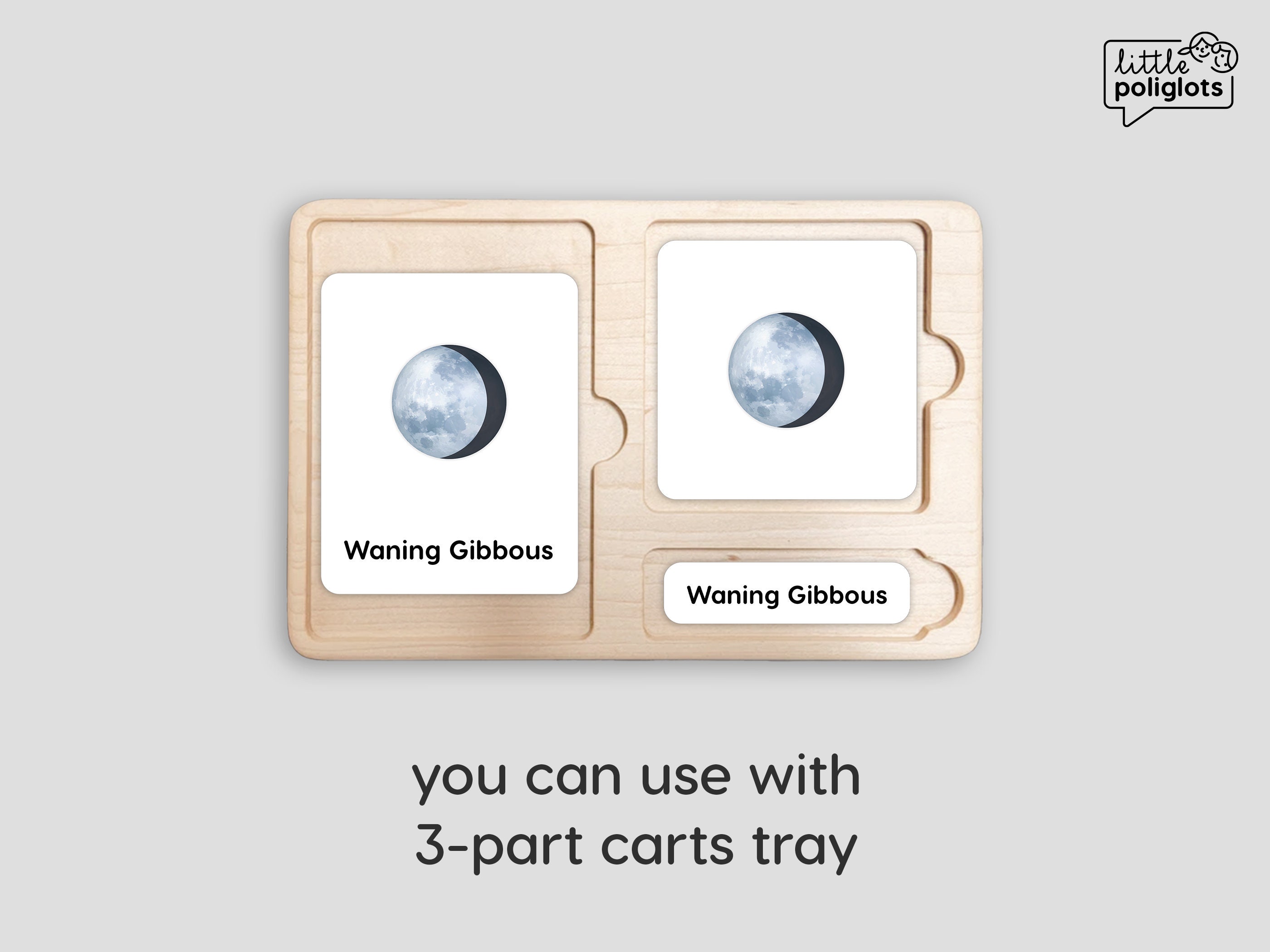 Moon Phases Montessori 3-part Cards: Multilingual Flash Cards With ...