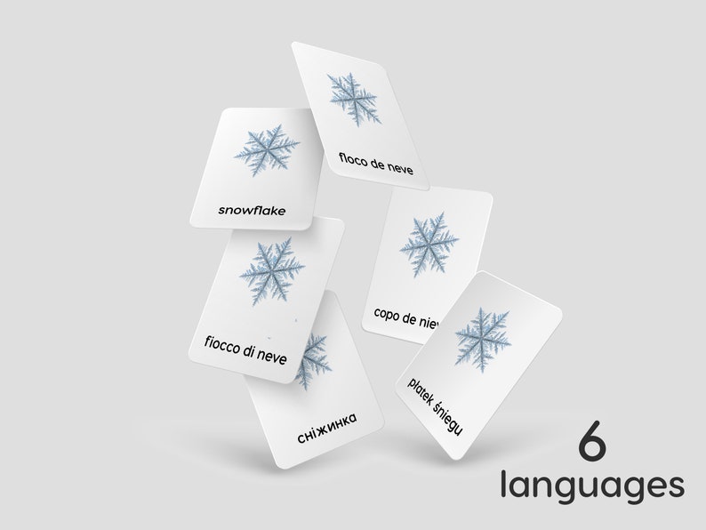 WINTER Montessori 3-part Cards Multilingual and With Realistic Photos ...