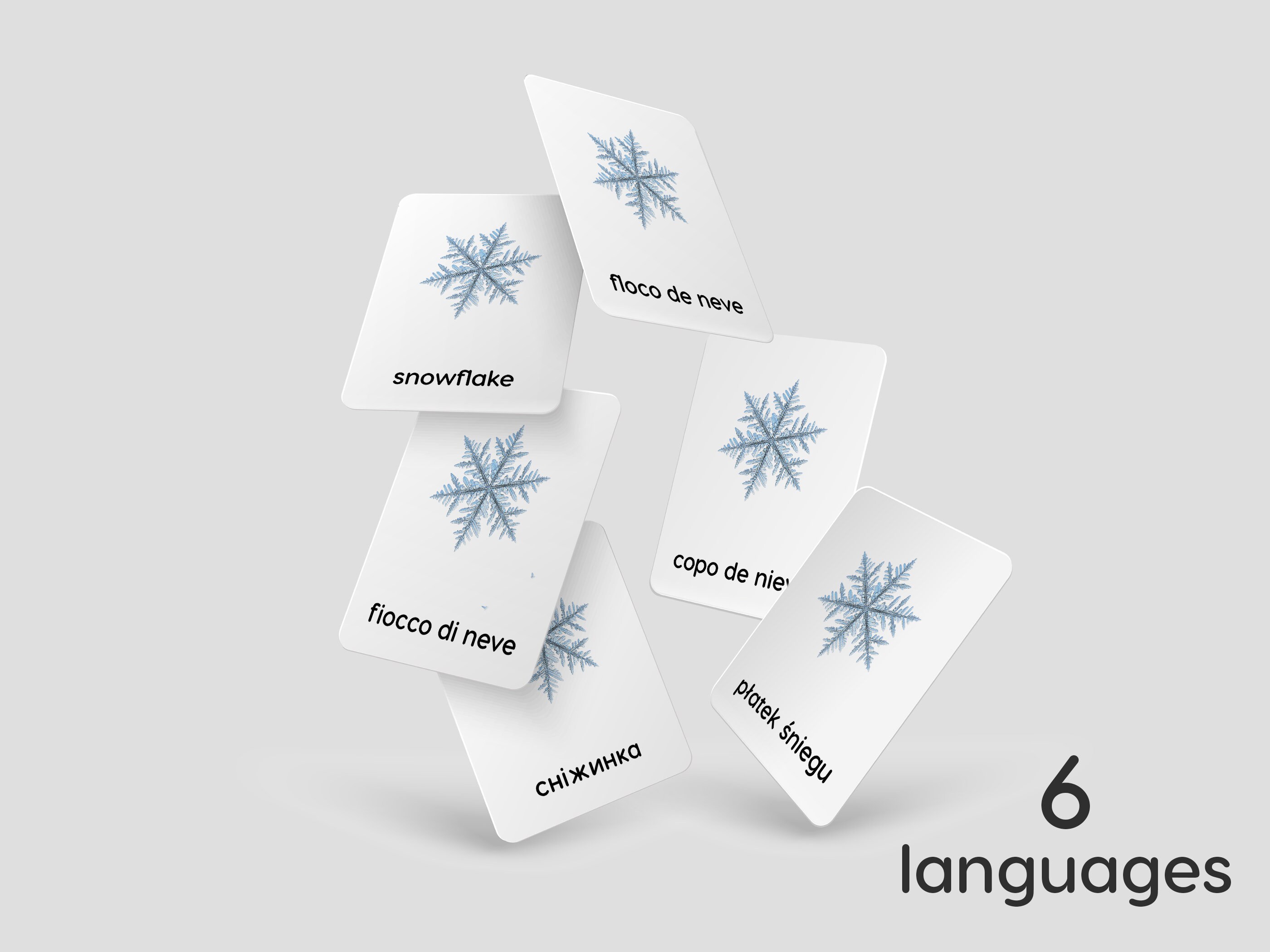 WINTER Montessori 3-part Cards Multilingual and With Realistic Photos ...