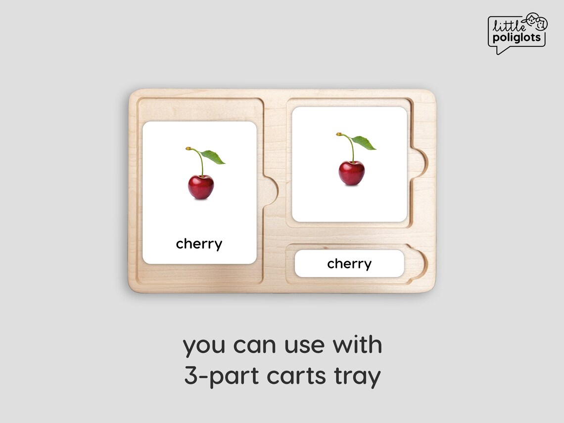 FRUITS Montessori 3-part Cards Multilingual and With Realistic Photos ...