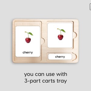 FRUITS Montessori 3-part Cards Multilingual and With Realistic Photos ...