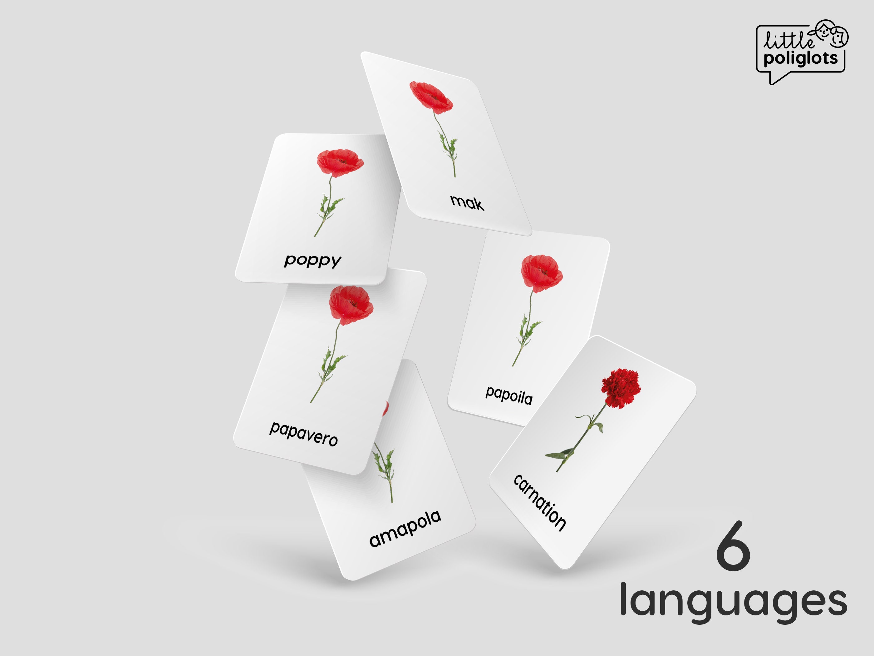 FLOWERS Montessori 3-part Cards Multilingual and With Realistic Photos ...